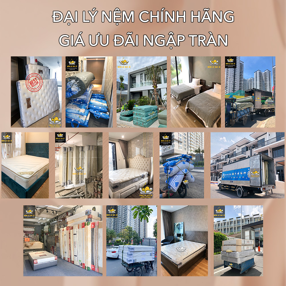 FUZZI – Art of Living