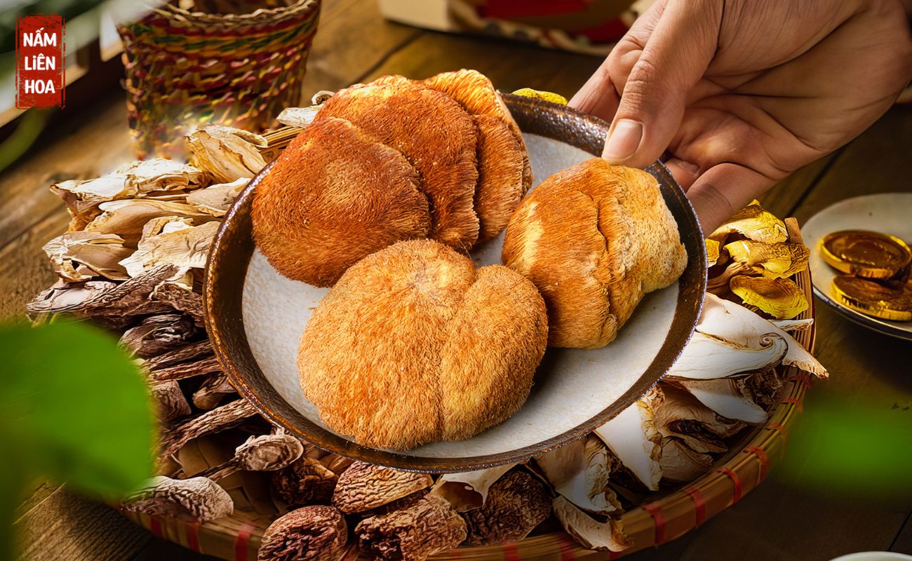 Tin tức – Nấm Liên Hoa