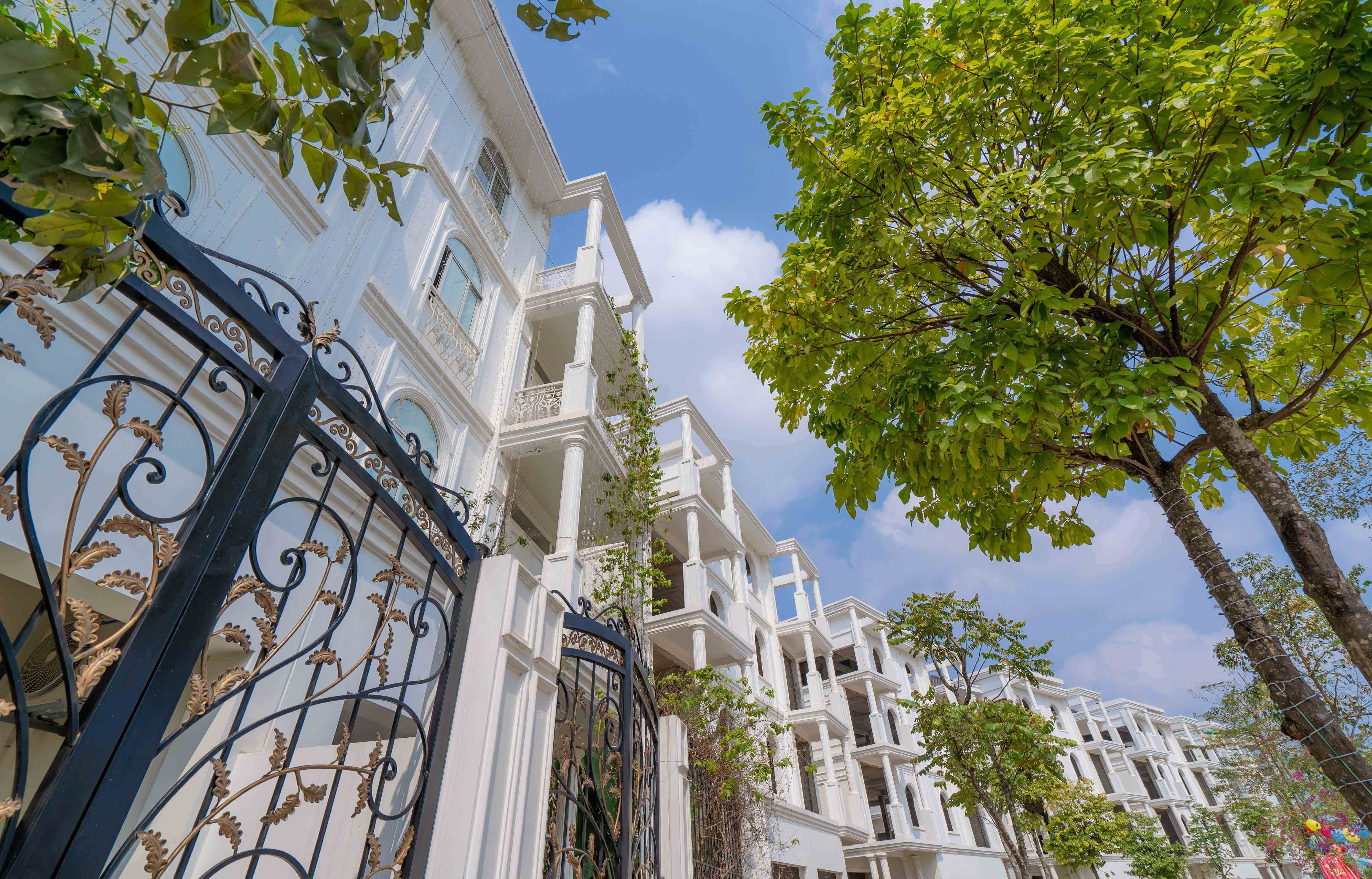 Công ty Cổ phần BV Land - Nhà phát triển BĐS chuyên nghiệp