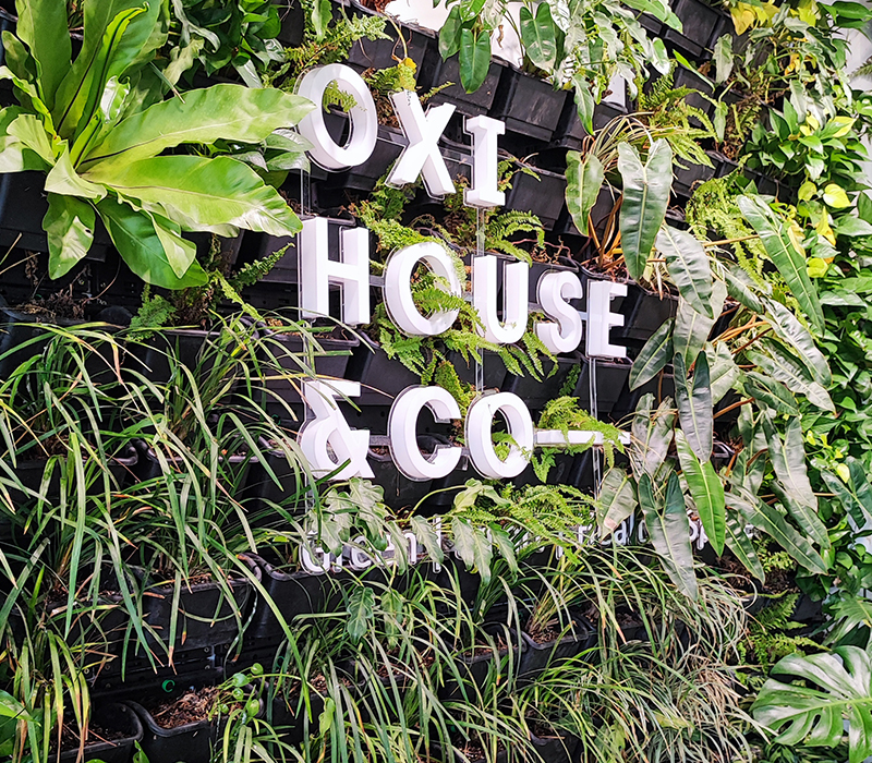 Oxi House - Chuyên Gia Không Gian Xanh