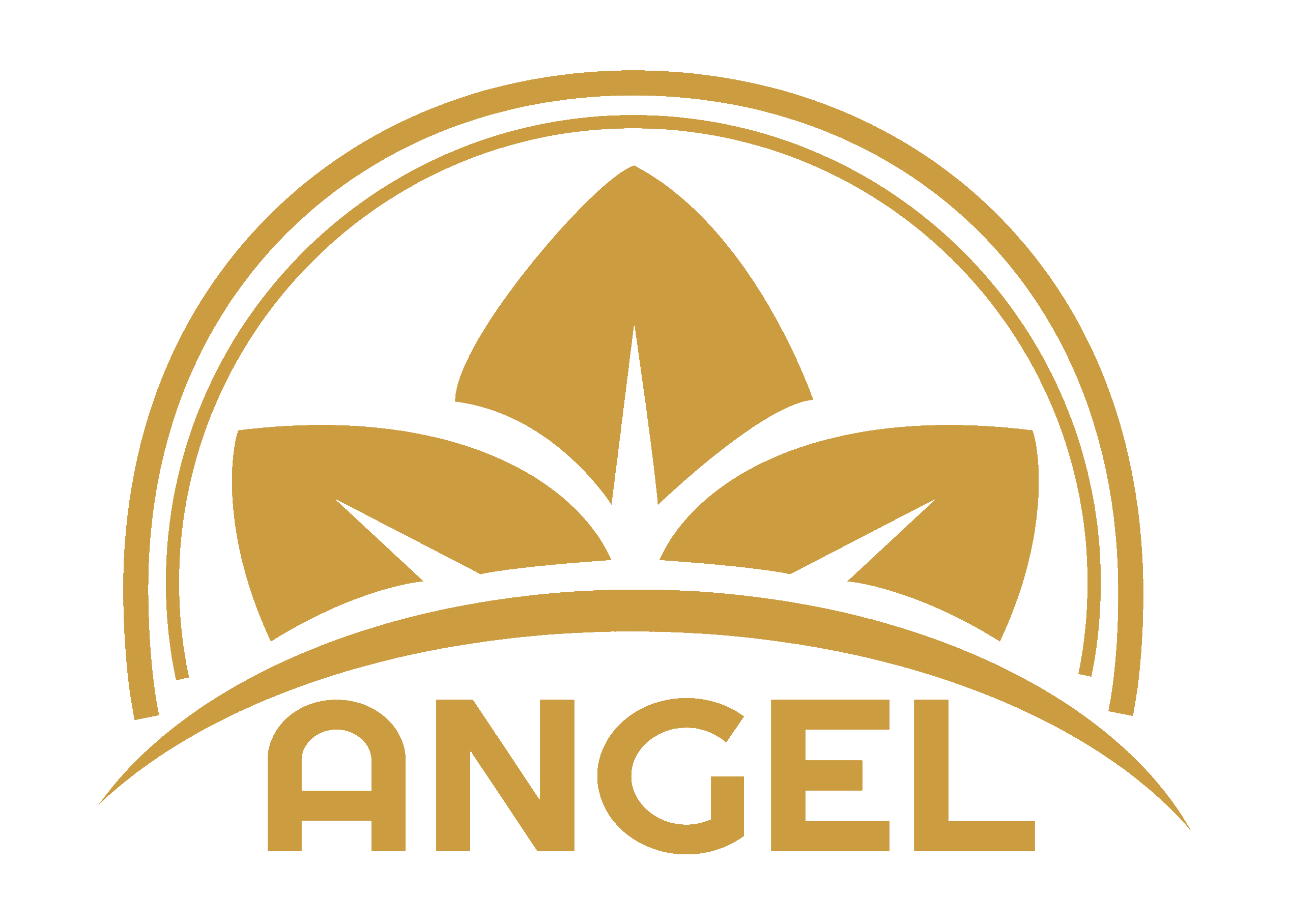 Angel Foods