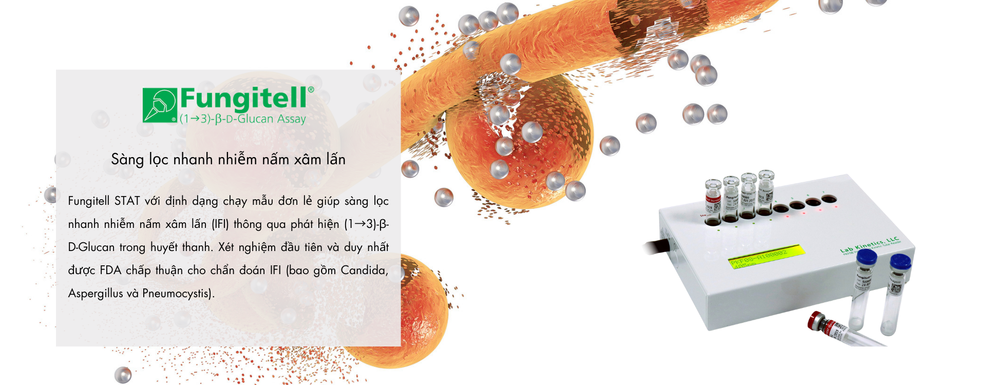 Viet Anh Scientific – Công ty TNHH Thiết bị Khoa học Việt Anh