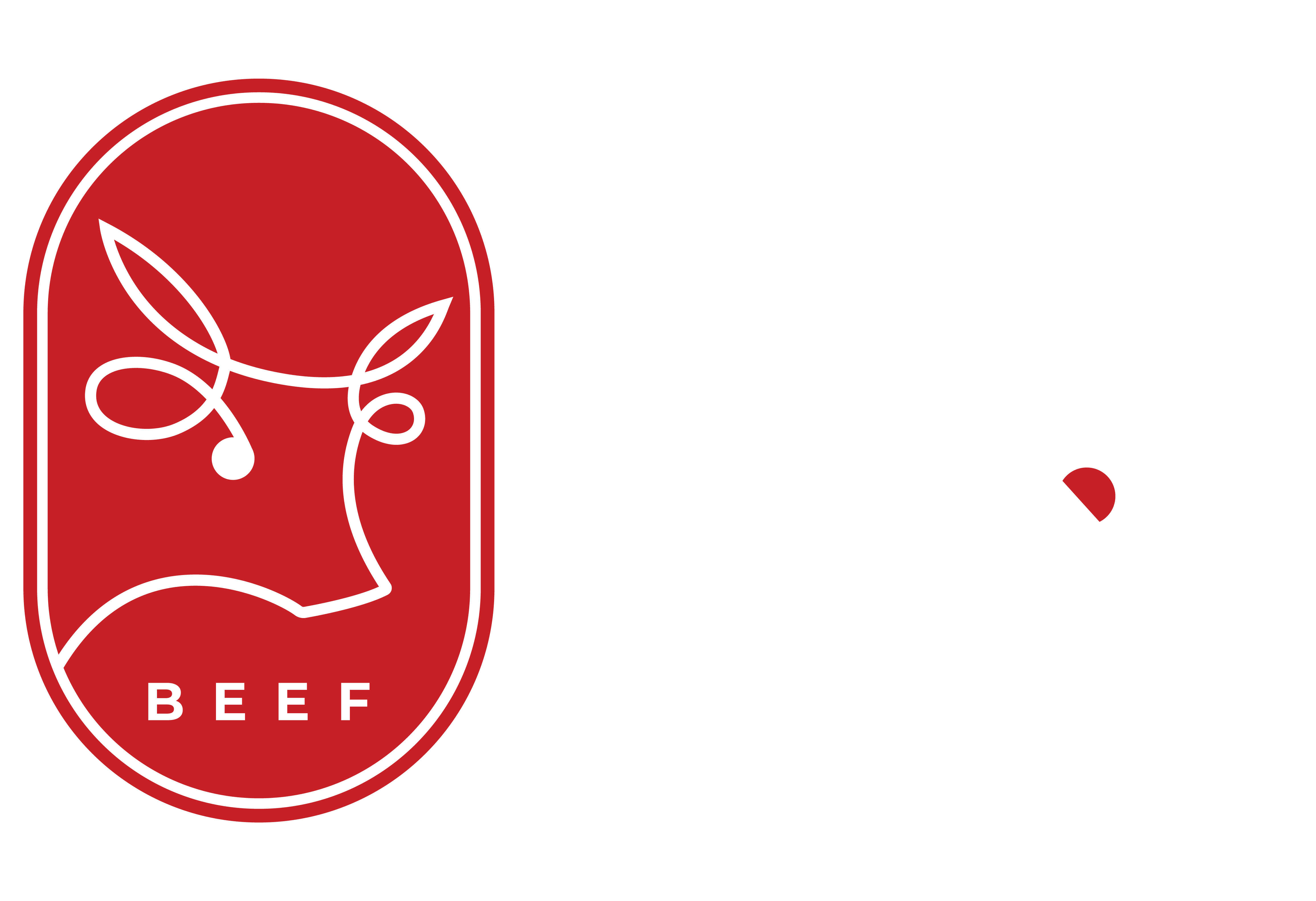 mrtbeef