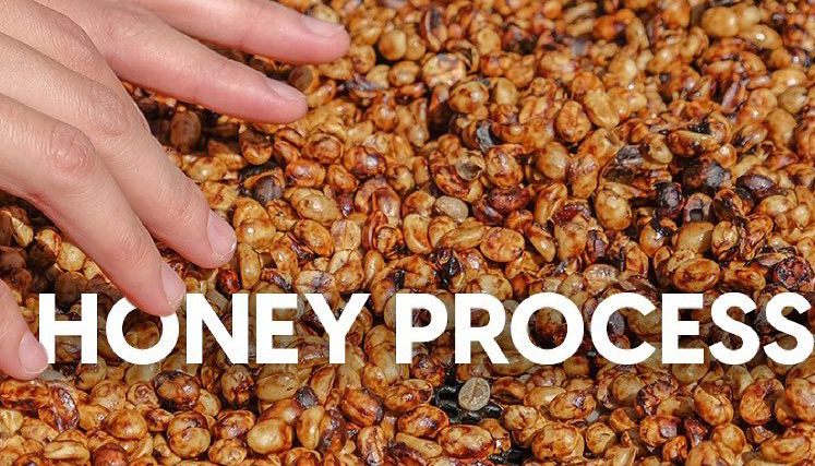Hãng Cà Phê Chất Lượng Cao – Robusta Honey Coffee Company