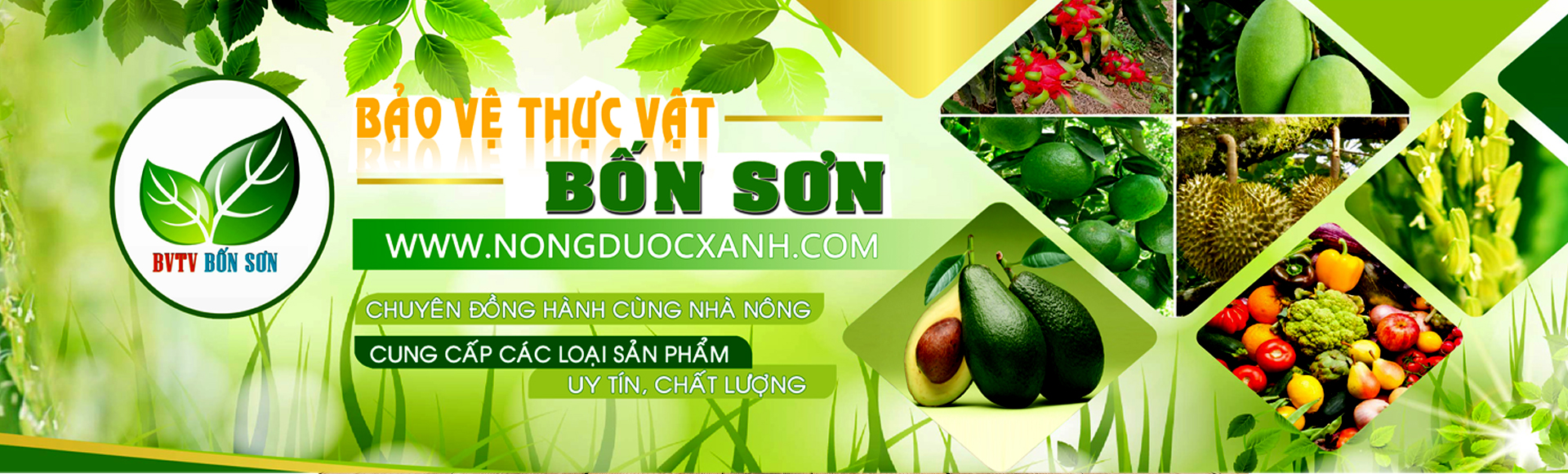 Nông Dược Xanh - BVTV Bốn Sơn