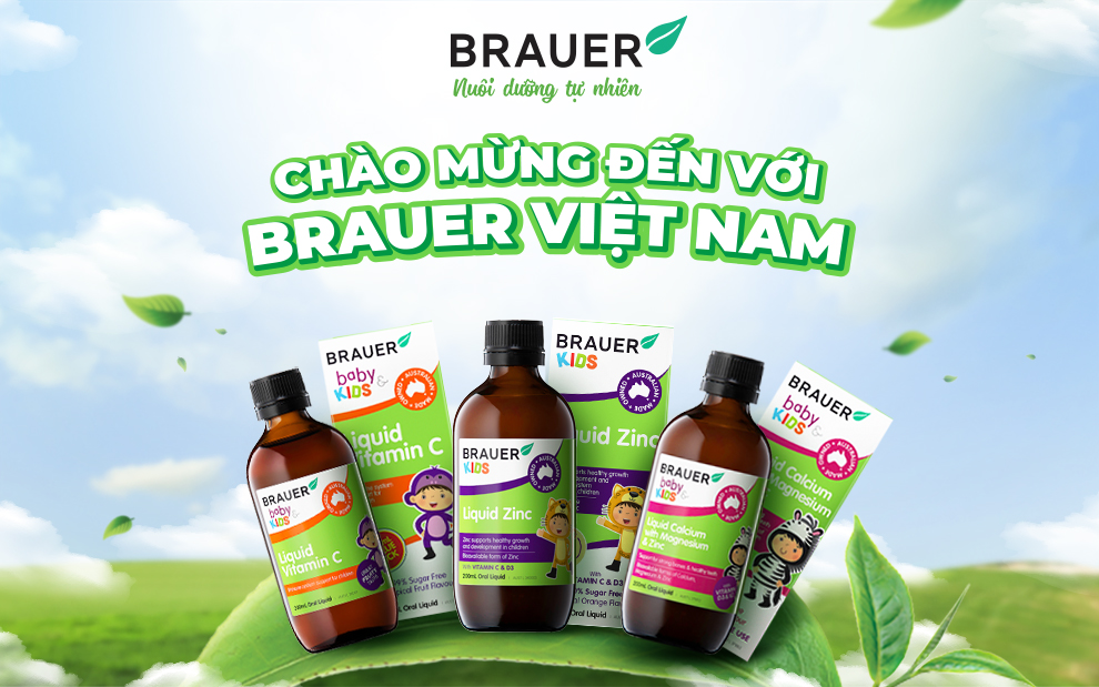 Brauer Việt Nam