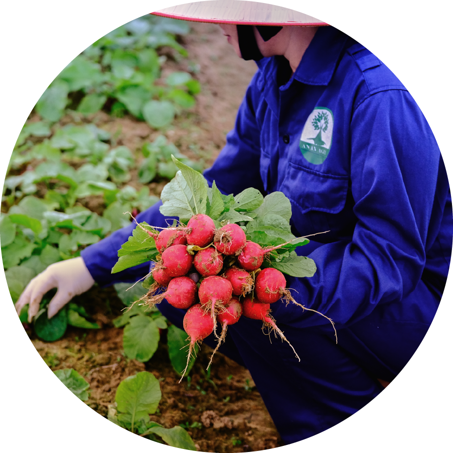 Giới thiệu – Anpaso