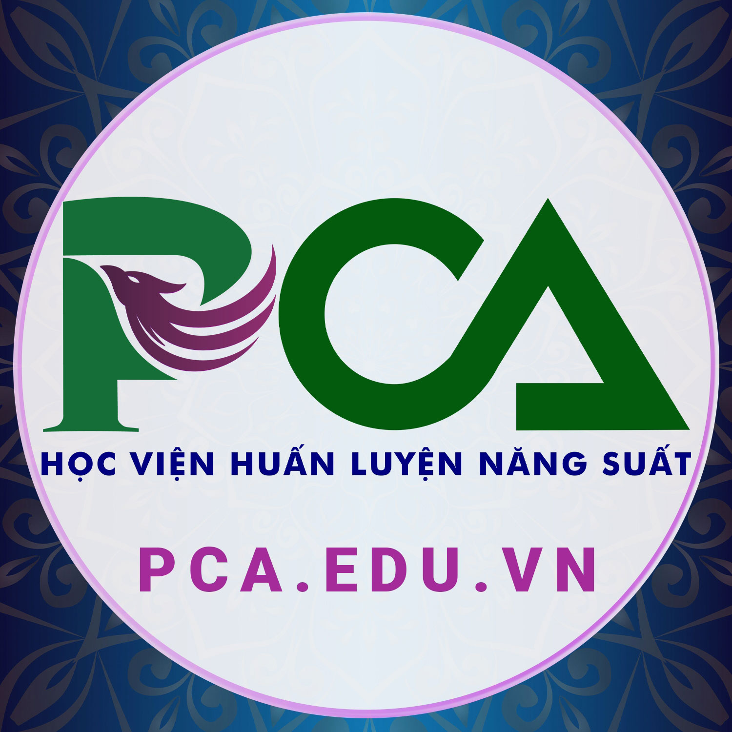 CÔNG TY CỔ PHẦN VÀ ĐÀO TẠO PCA – CÔNG TY CỔ PHẦN ĐÀO TẠO PC ACADEMY