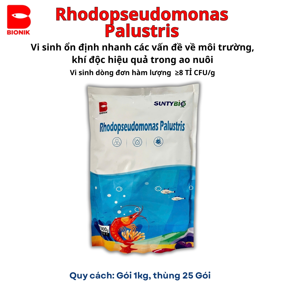 BIONIK – CÔNG TY CỔ PHẦN BIONIK