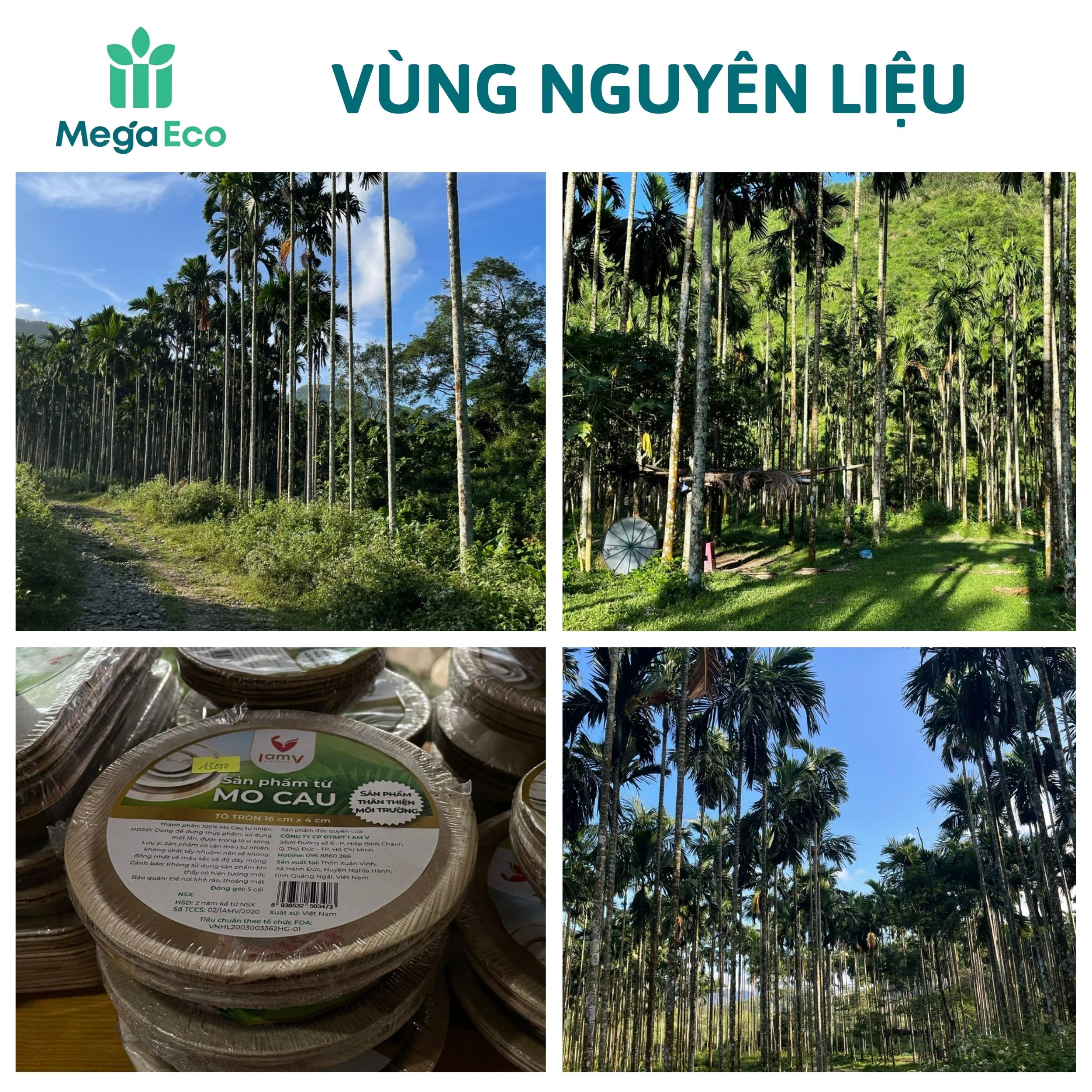 MegaEco - Xưởng sản xuất chén, đĩa, mỹ nghệ từ mo cau Việt Nam