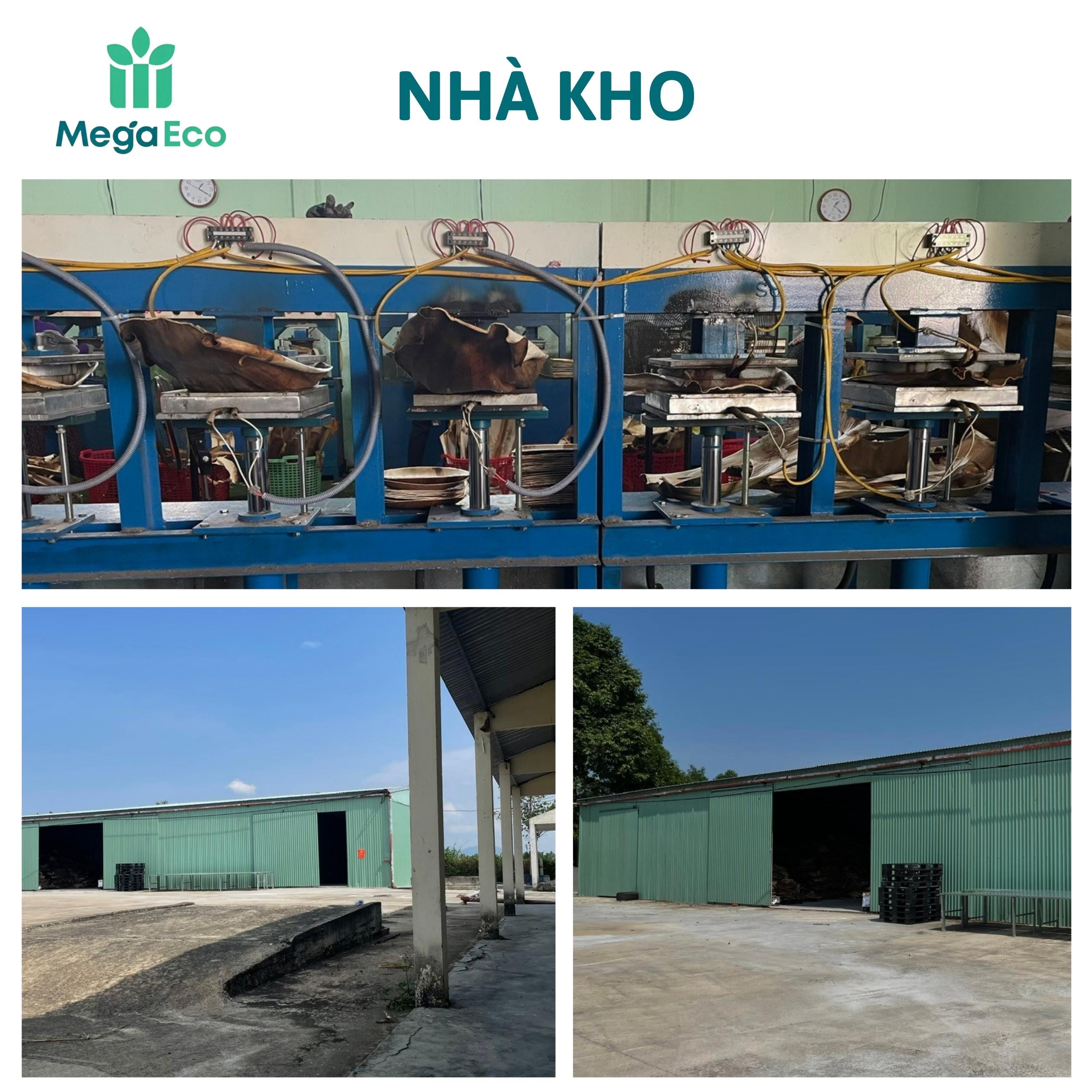 MegaEco - Xưởng sản xuất chén, đĩa, mỹ nghệ từ mo cau Việt Nam