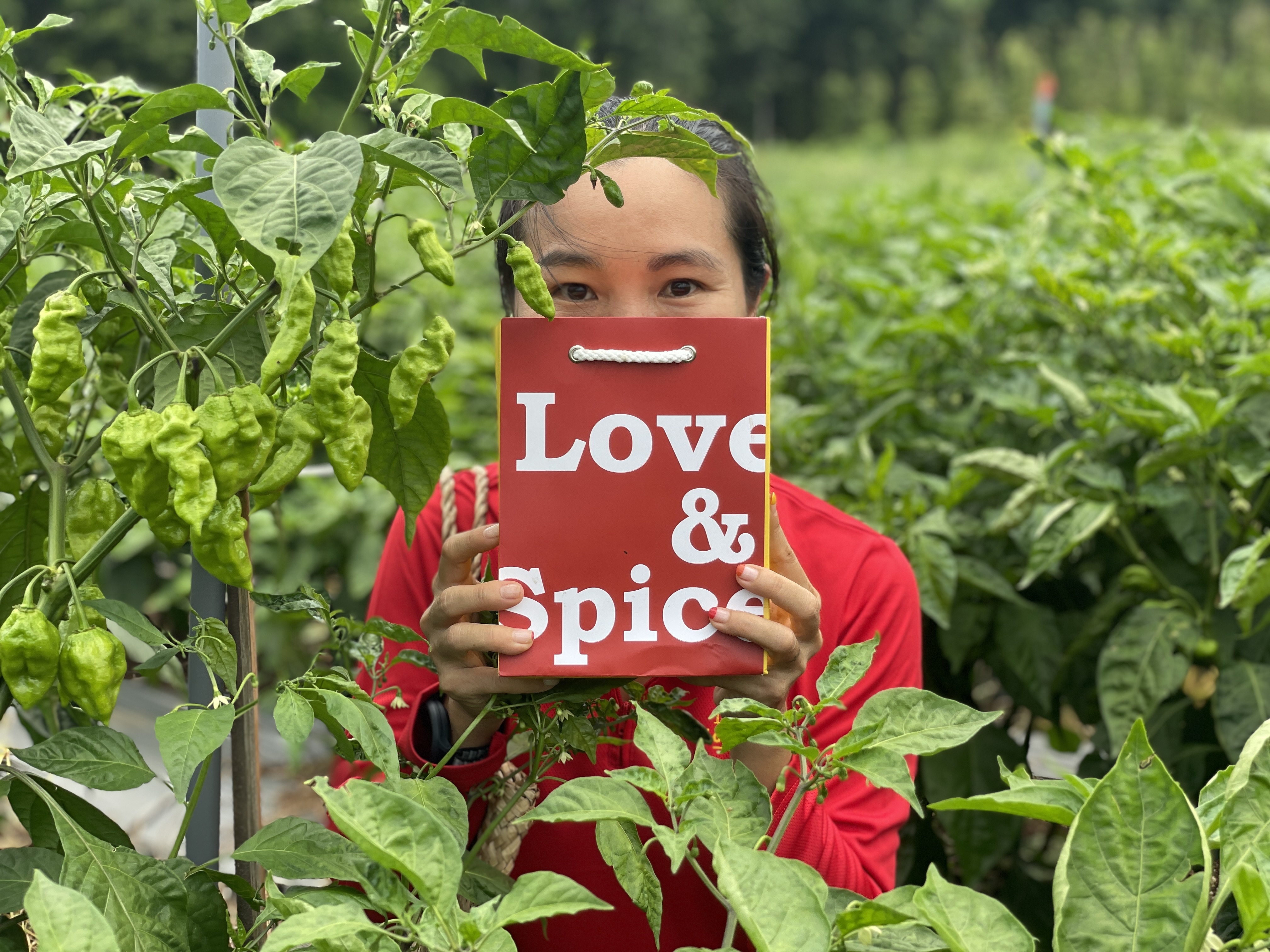 Về thương hiệu LOVE & SPICE