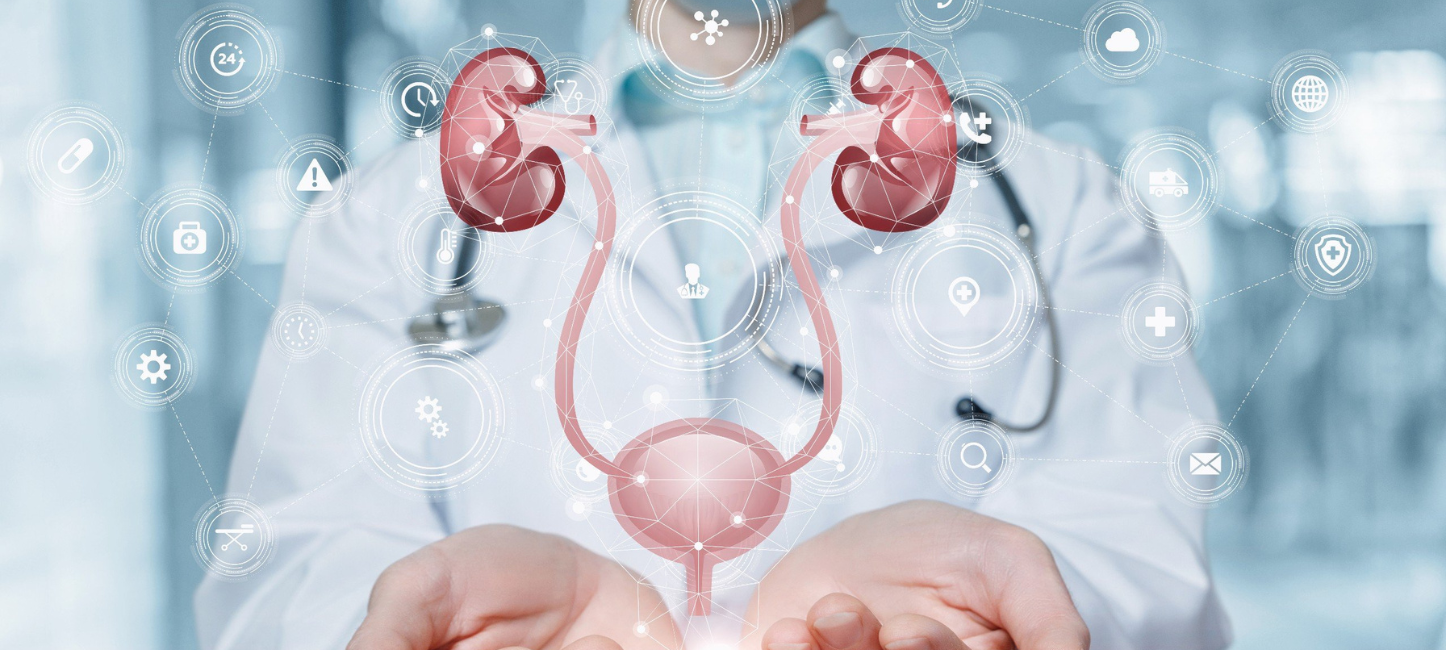 HOLMIUM LASER MACHINES – Khả Lộc Medical