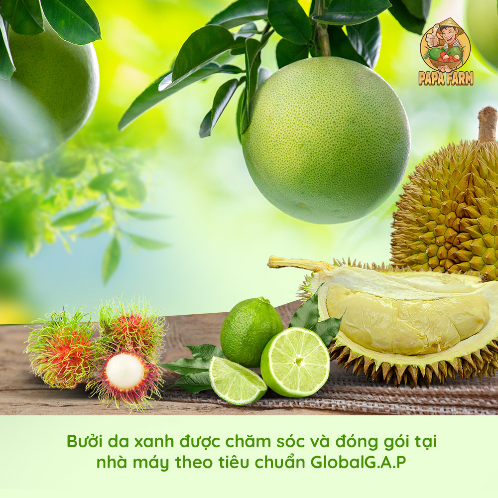 Papa Farm – CÔNG TY TNHH XUẤT NHẬP KHẨU PAPA FARM