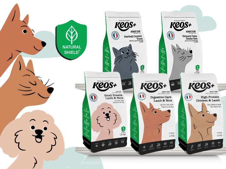 Nhà sản xuất thức ăn dinh dưỡng thú cưng tiêu chuẩn châu Âu – KEOS PET FOOD