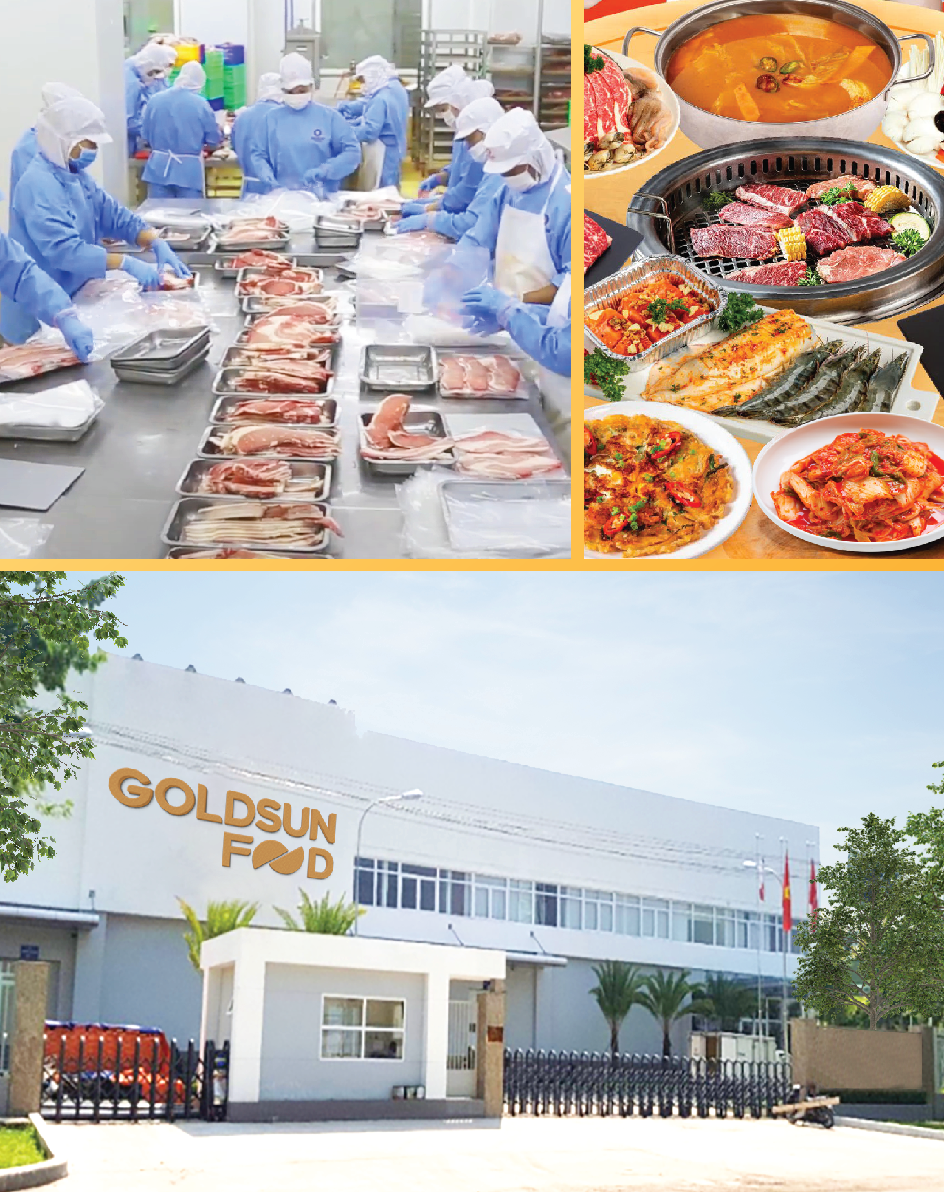 Giới thiệu – Goldsun Shop