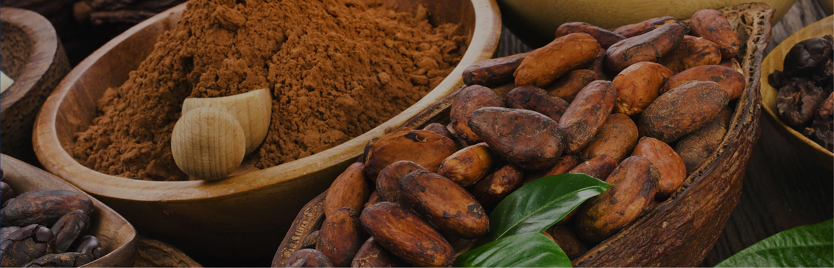 Dưỡng thế