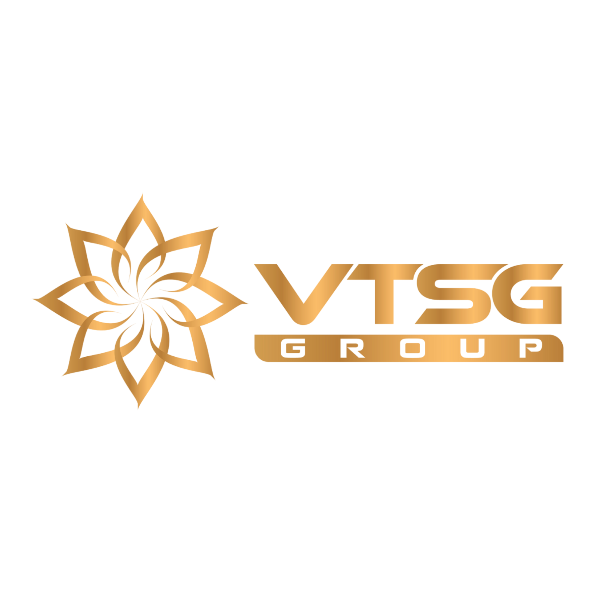 VTSG Group